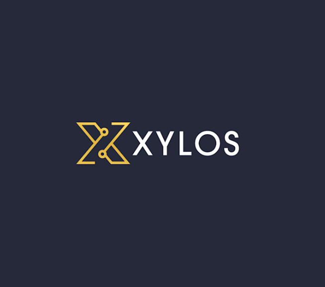 Xylos | Online in Emmen | Wordpress